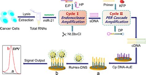 An Ultrasensitive Electrochemical Biosensor Integrated By Nicking Endonuclease Assisted Primer