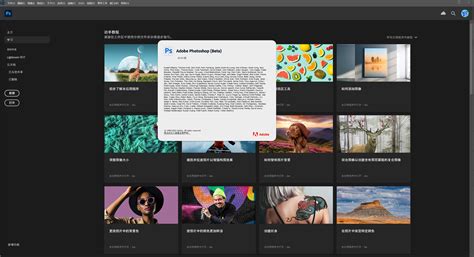 Photoshop 2024 Beta 250 Winmac版 一键安装神经网络滤镜 廿八星空