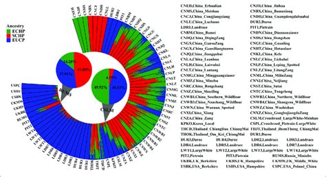 Ancestry Proportions Estimated By Supervised Admixture At K 3 The Download Scientific