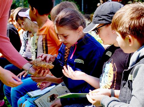 Výukové Programy A Pobyty Lipka