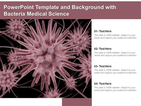 Powerpoint Template And Background With Bacteria Medical Science