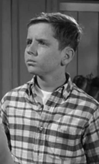 Howie Pruitt Mayberry Wiki Fandom