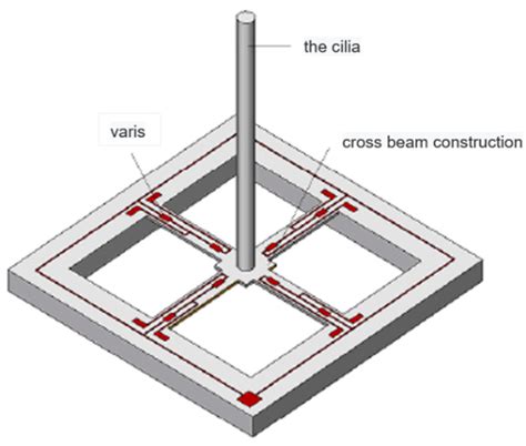 Denoising Of Mems Vector Hydrophone Signal Based On Empirical Model Wavelet Method