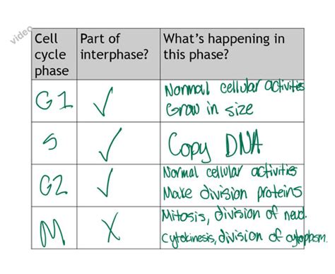 Unit 2 Exam Flashcards Quizlet