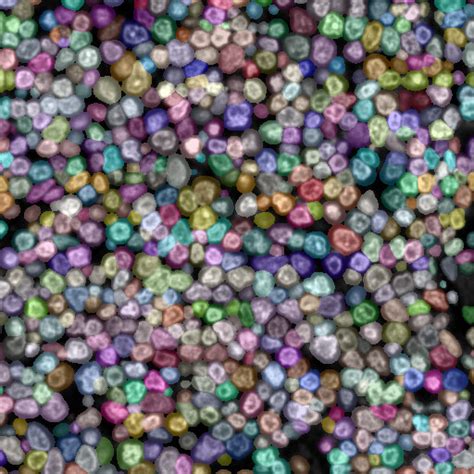 Review How Good Is Instanseg At Segmenting Nuclei Image Analysis Imagesc Forum