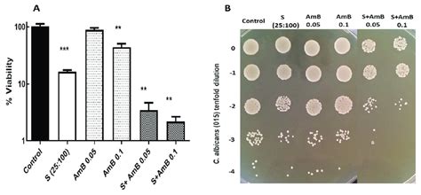 Antifungal Effect Induced By The Combinative Treatment With Capp