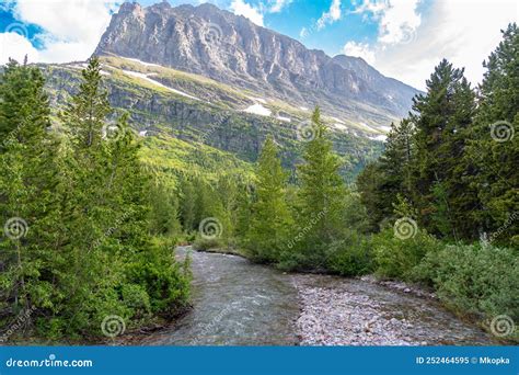 Scenery Along The Swiftcurrent Pass Hiking Trail In Glacier National