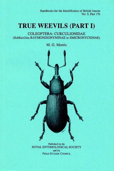Curculionidae Identification Key