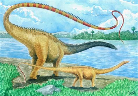 Seismosaurus Facts And Pictures