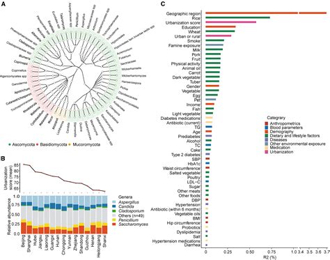 The Temporal Dynamics Of The Gut Mycobiome And Its Association With