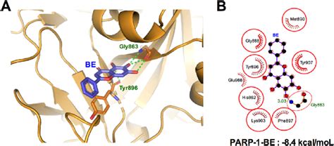 3 Dimensional Visualization By Pymol Software A And 2 Dimensional