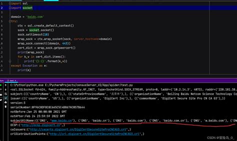 Python Socket库的常用方式socket Wrap——socket Csdn博客