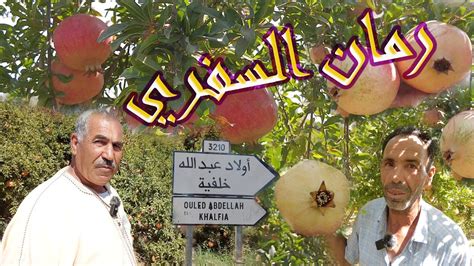 أجي تشوف أحسن جودة رمان السفري من ولاد عبدالله بني ملال الفقيه بن صالح