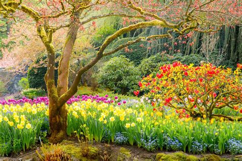 50 Paisajes Donde Siempre Debería Ser Primavera Imagenes De Paisajes