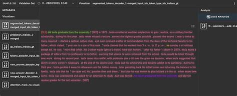 Applied Explainability For Natural Language Processing Models Tensorleap