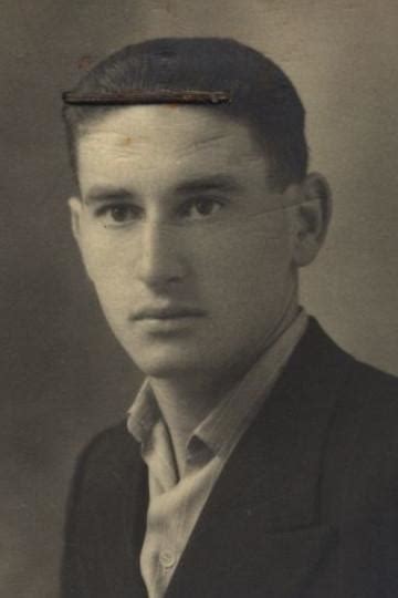 Minarelli Vittorio Storia E Memoria Di Bologna