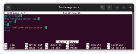 Bash While Loop Explained With Examples Foss Linux