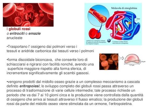 Il Sangue