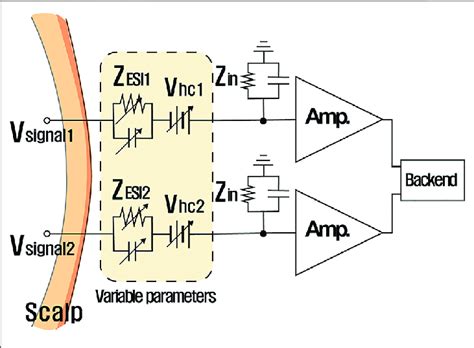 Electrical Model Of The ESI And Two Electrodes Variability Of The Download Scientific