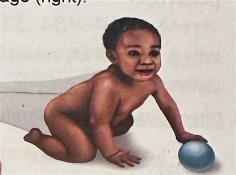 Lab Worksheet Flashcards Quizlet