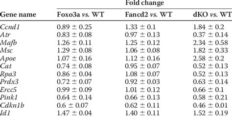 Quantitative RT PCR Validation Download Table