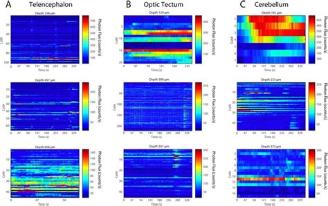 Raster Plot Of Photon Counts For All Of The Neurons Shown In Main Fig