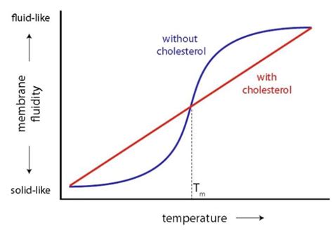 Solved Consider The Relationship Betweentemperature And