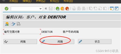Sap S4 Fi后台详细配置教程 Part5 （应收帐目和应付帐目配置篇）sap 发票应付账款设置 Csdn博客