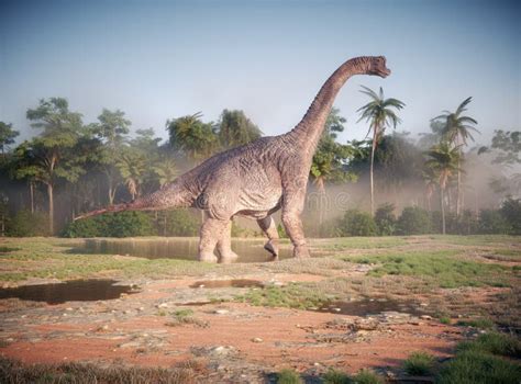 Brachiosaurus Dinosaur In Water Next To Islands With Palm Trees Stock