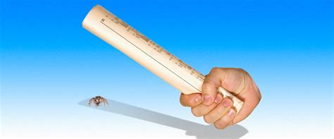 If Its A Mans World Let Men Kill The Bugs