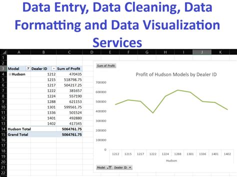 Data Entry Data Cleaning Data Formatting And Data Visualization