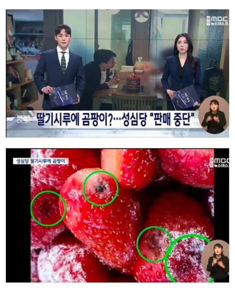 냠냠유머🤣 꿀정보 먹스타그램 성심당이 성심당 딸기시루 논란 논란글 논쟁 성심당딸기시루 존맛탱 뉴스 이슈 언론 ㅎㄷㄷ 뭐지