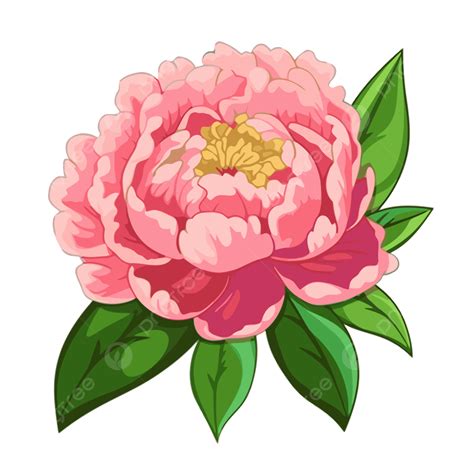 모란 꽃 벡터 스티커 클립 아트 흰색 배경 만화에 녹색 잎 핑크 모란 꽃 상표 클립 아트 Png 일러스트 및 벡터 에 대한 무료 다운로드 Pngtree