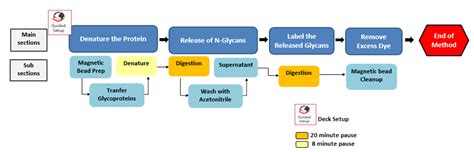 Released N Linked Glycan Analysis Employing Automated Sample
