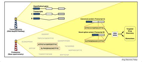 strategies for transcriptional splice variant detection rna seq blog