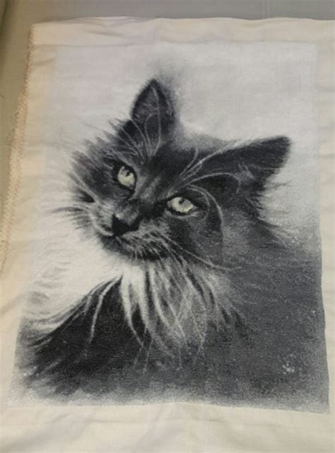 Kitty Magic Haed Gallery