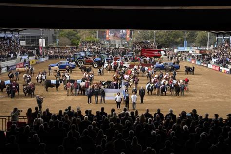 El Duro Discurso De La Sociedad Rural “los últimos Gobiernos