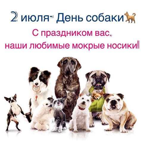 2 июля — Международный день собак 2020 ВКонтакте