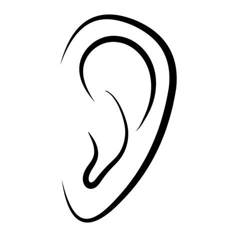 Outline Human Ear Organ Of Hearing Ear Side View 55582034 Vector Art