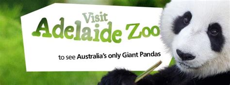 Whats On Today In Adelaide Au