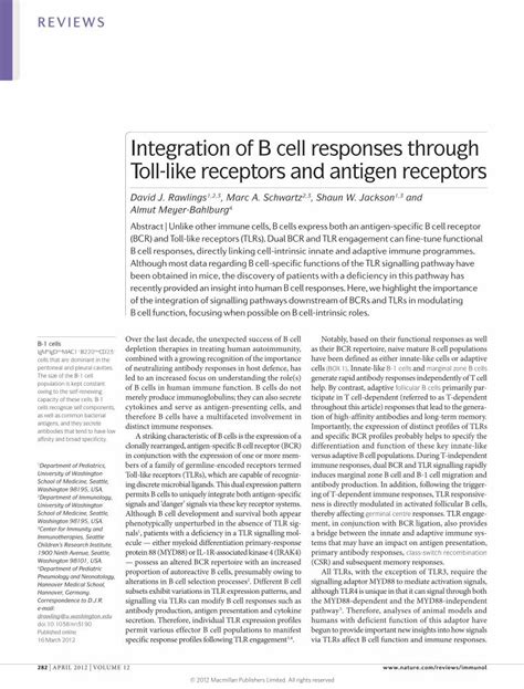 Pdf Integration Of B Cell Responses Through Toll Like Receptors And
