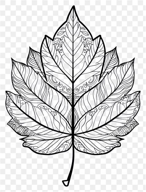 Png Leaf Sketch Art Illustrated Premium Png Rawpixel