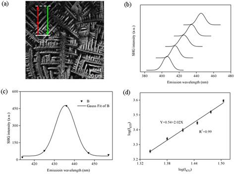 Characterization Of Dna As A Second Order Nonlinear Optical Material Download Scientific