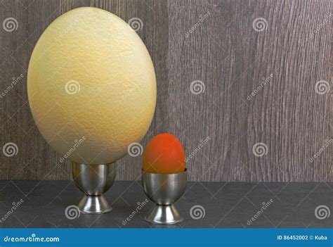 Ostrich Egg Size Compared To Chicken Egg