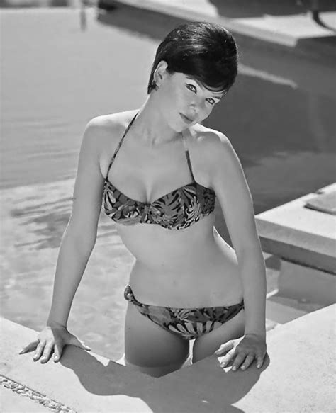 Slice Of Cheesecake Yvonne Craig Photoshoot