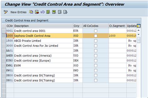 S 4 Hana Credit Management Configuration Process Sapours Technologies Pvt Ltd