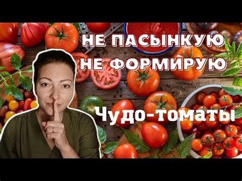 🍅ЭТИ ТОМАТЫ РАСТУТ БЕЗ ХЛОПОТ какие ТОМАТЫ больше не посажу - YouTube