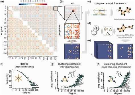 Data Normalization And Filtering Complex Network Framework And Download Scientific Diagram