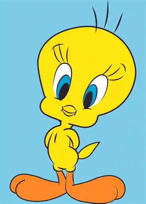 How To Draw Tweety Bird Step By Step Storiespub