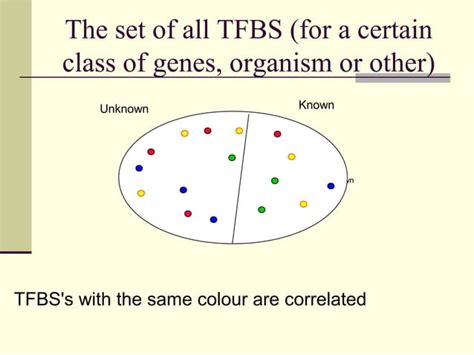 Rna Synthesis Ppt